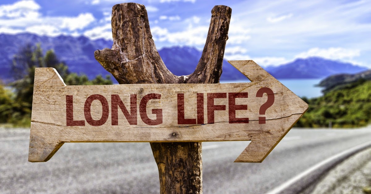 Long Long Life - Work for human longevity Long Long Life - Work for human longevity