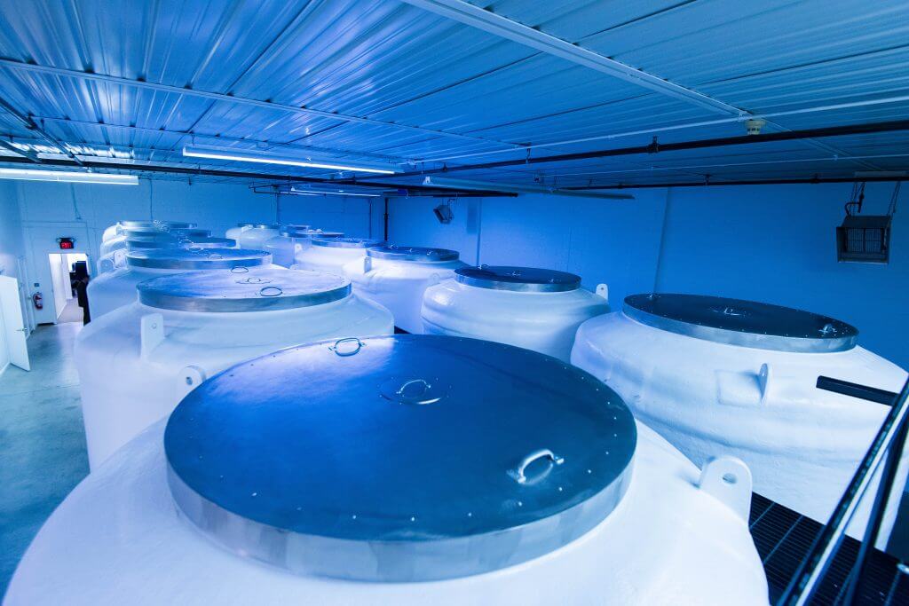 Cryogenic-Chambers-7345 - Work for human longevity