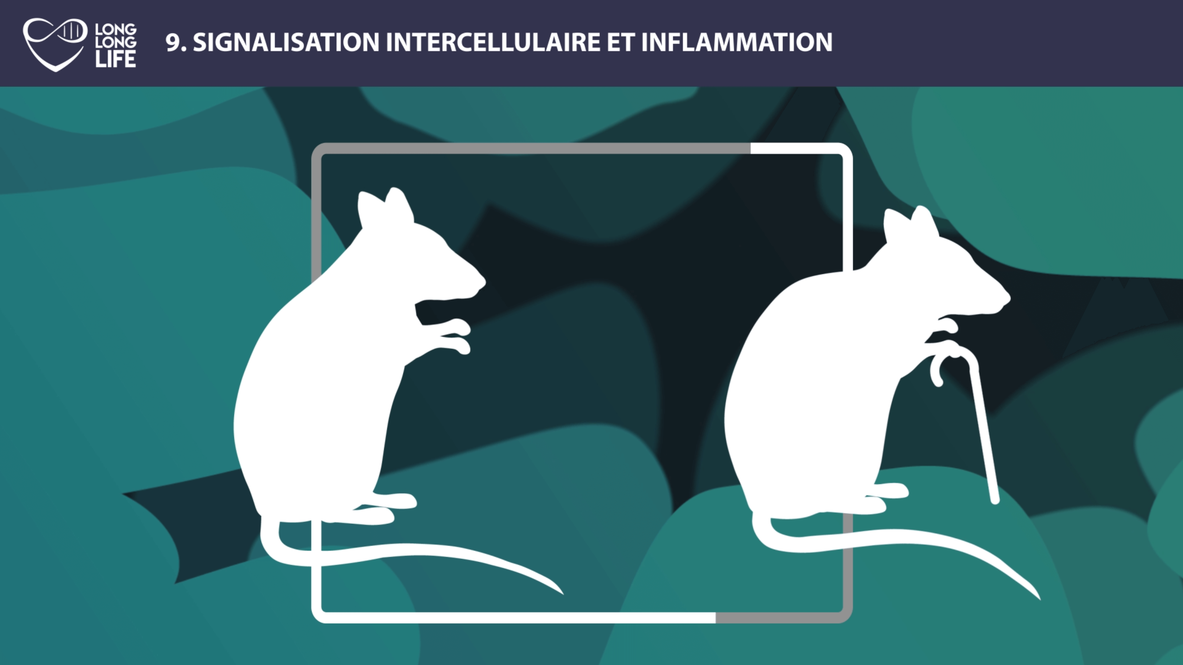 Vidéo - Les 9 causes du vieillissement, épisode 9, Inflammation [FINAL ...
